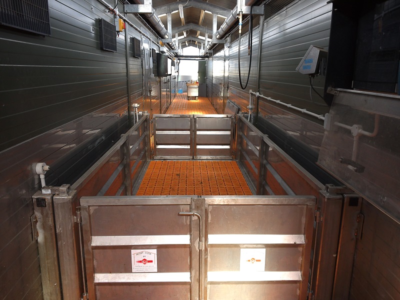 Pig Farming In Ireland | Pig Farms In Ireland Housing & Equipment - IDS